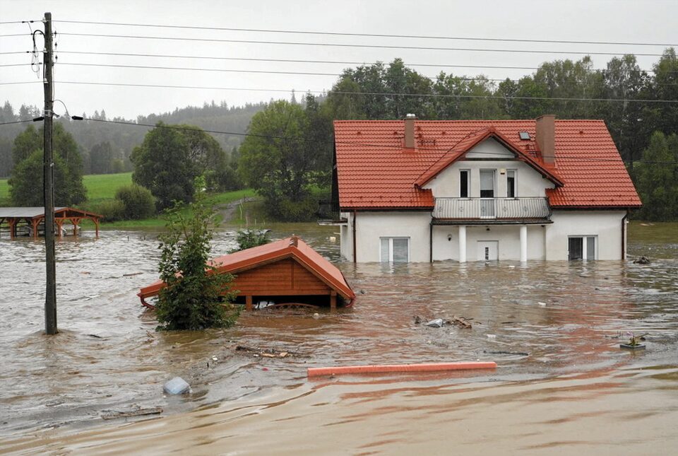TransRe | The Insurer
